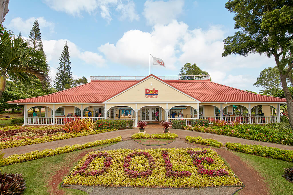 How to Plan a Group Trip to Hawaii?