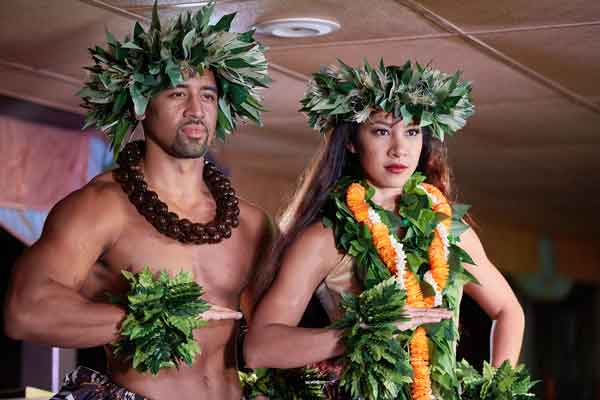 The Hula to Go - Rock-A-Hula